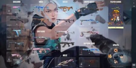 All About Valorant Store Checker: Features and Risk