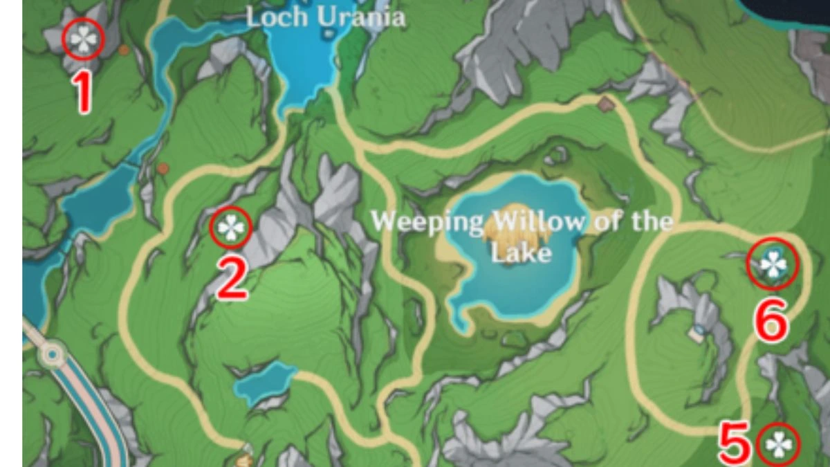 6 Lokasi Foggy Forest Branch Genshin Impact dan Cara Menggunakannya